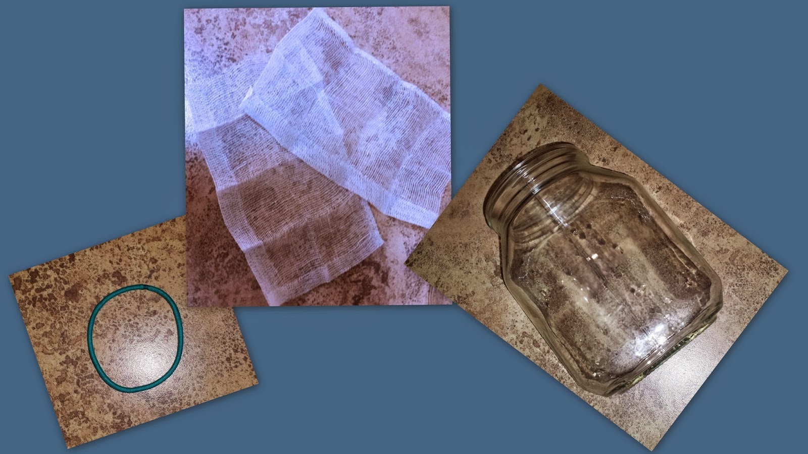Manger des graines germées + DIY votre germoir