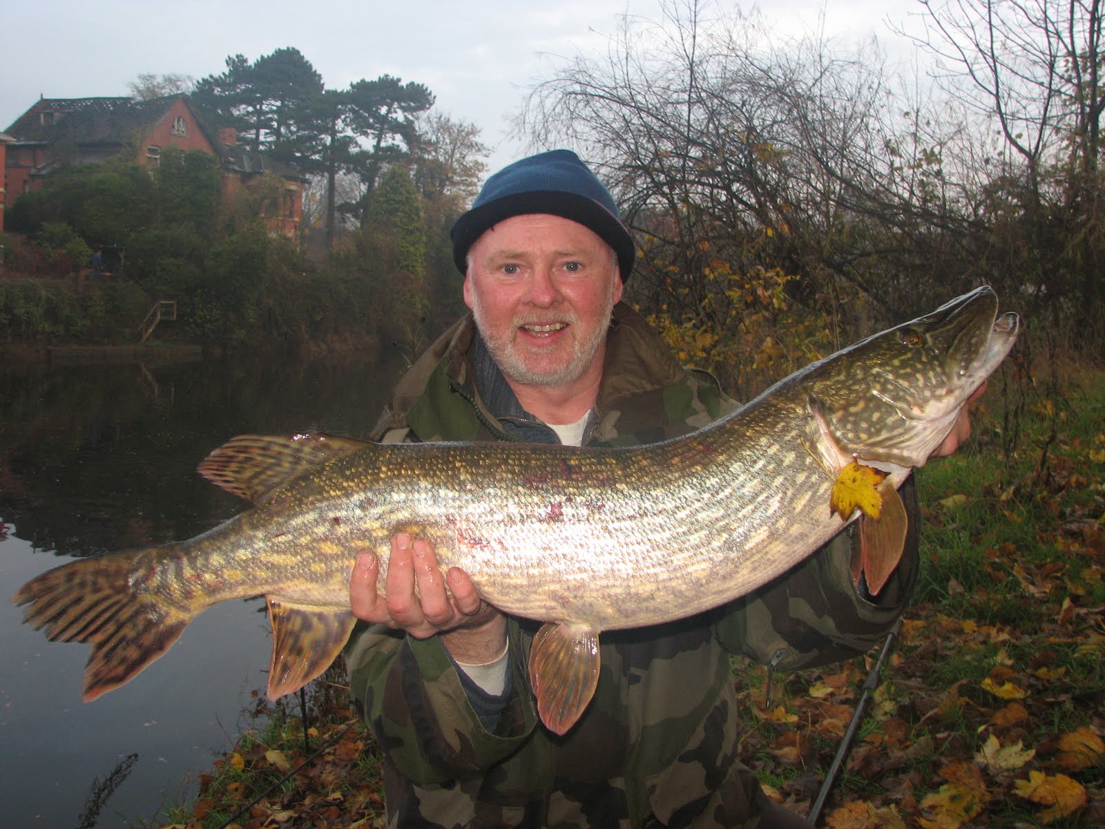 Pike Fishing UK: November 2011
