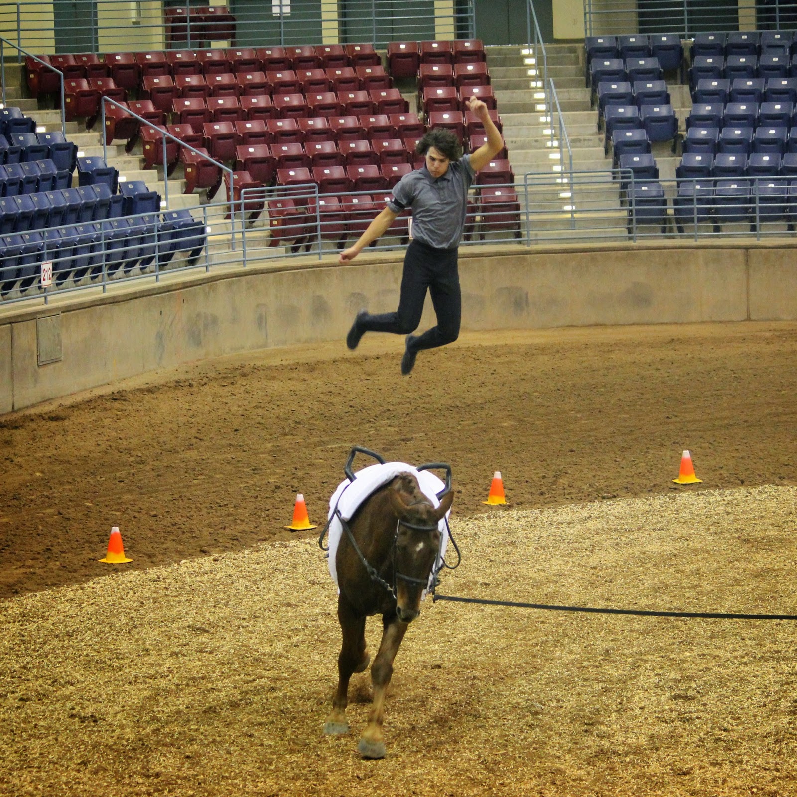 Technique Equestrian Vaulting Club: Regional Vaulting Competition in ...