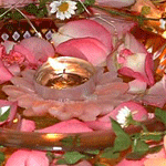 Diwali Flowers - Upcoming Indian Festivals