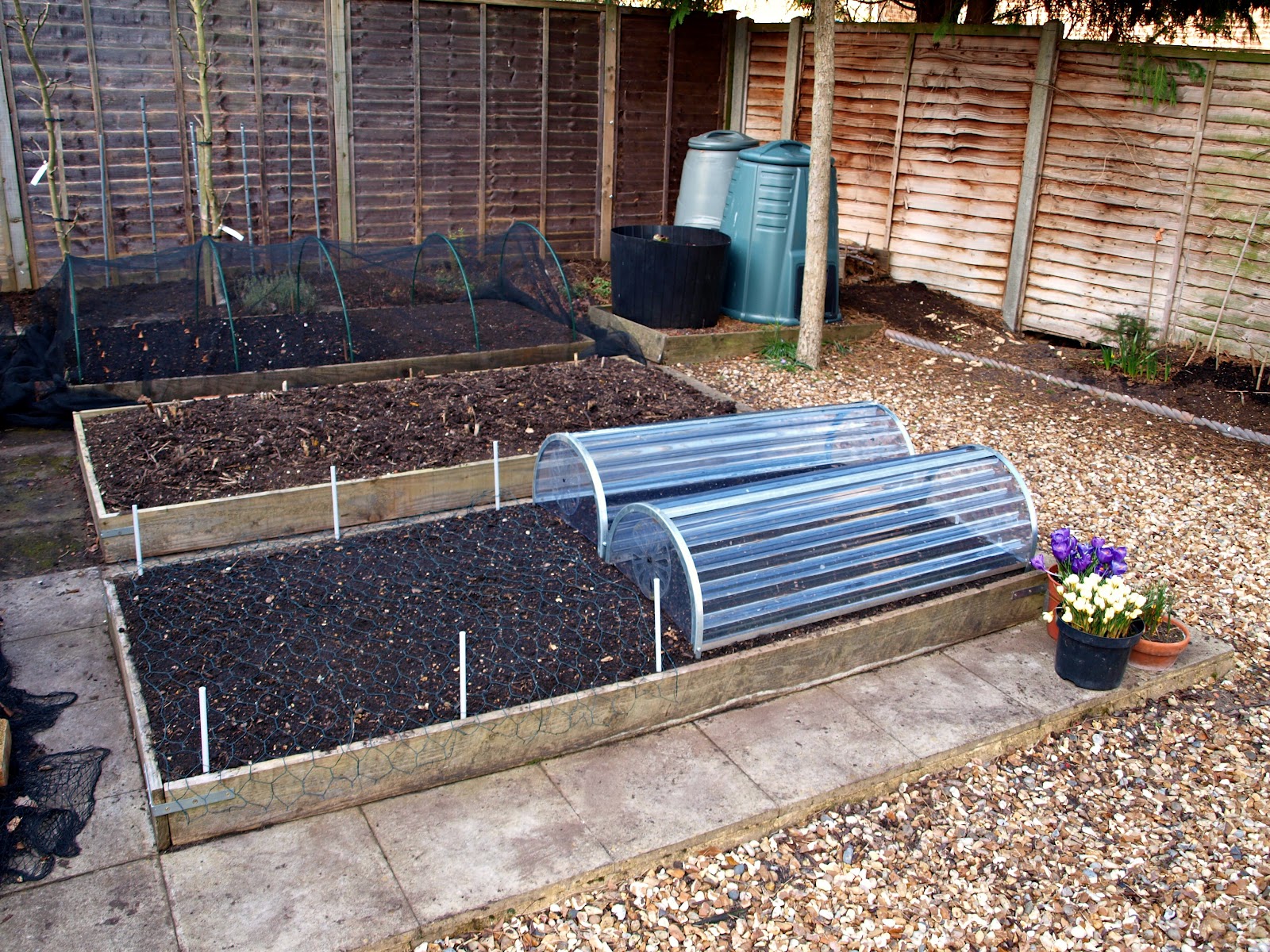 Mark's Veg Plot: My plot