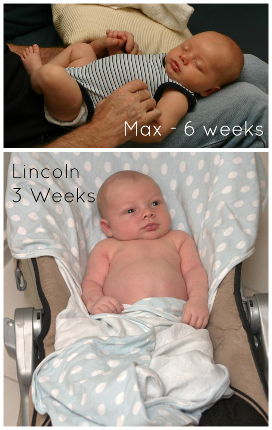 Max & Me: My Little Look Alikes