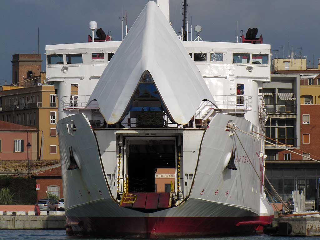 Livorno Daily Photo: Aethalia