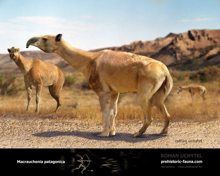 Palaeos, la historia de la Vida en la Tierra: ¿Fósiles vivientes?