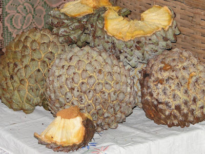 Criações Divinas: ARATICUM fruto do cerrado brasileiro