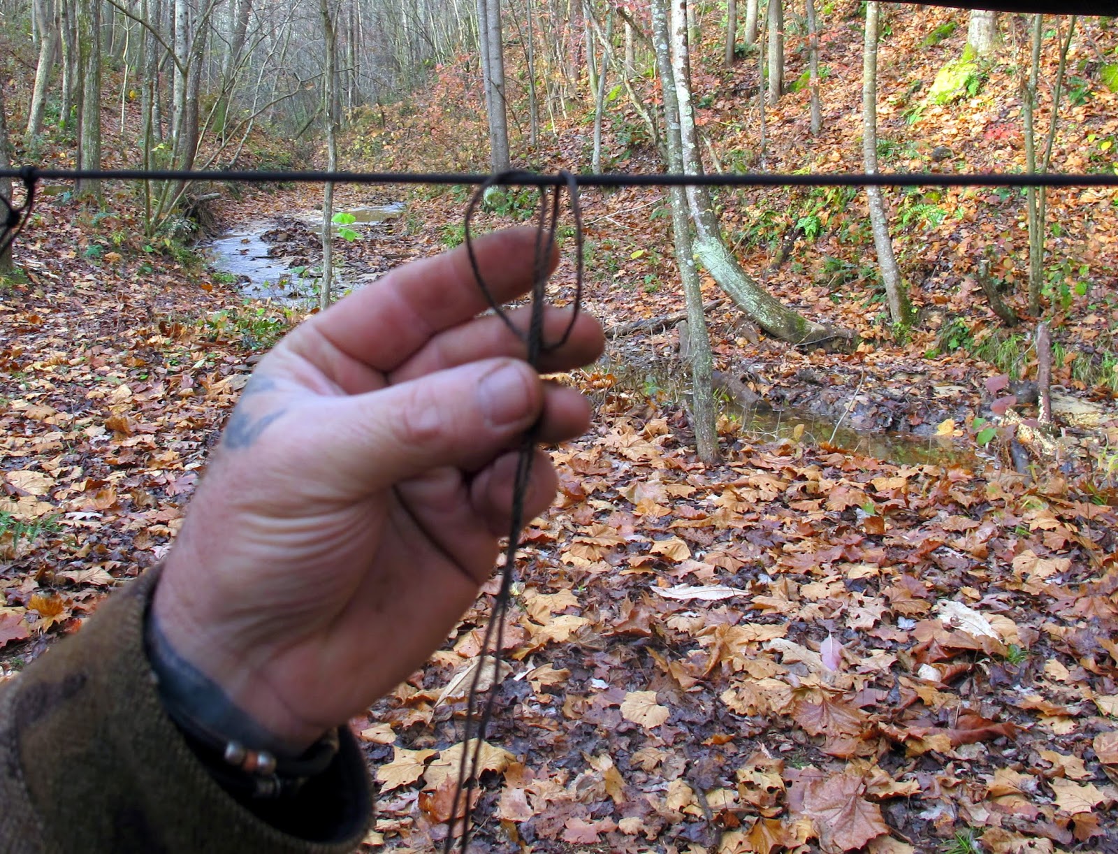 Woodland Wisdom: Survival Trapping