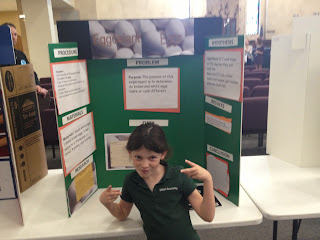Ms. Social Studies: Science Fair Projects