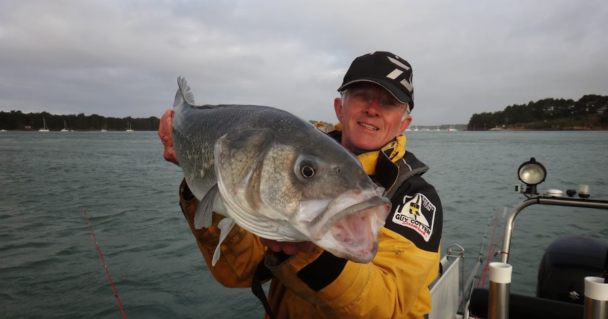 Le Golfe du Morbihan dans tous ses états !: pêche du plus gros bar de ...