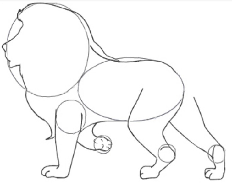 Menggambar sketsa singa cartoon | INFOZANI