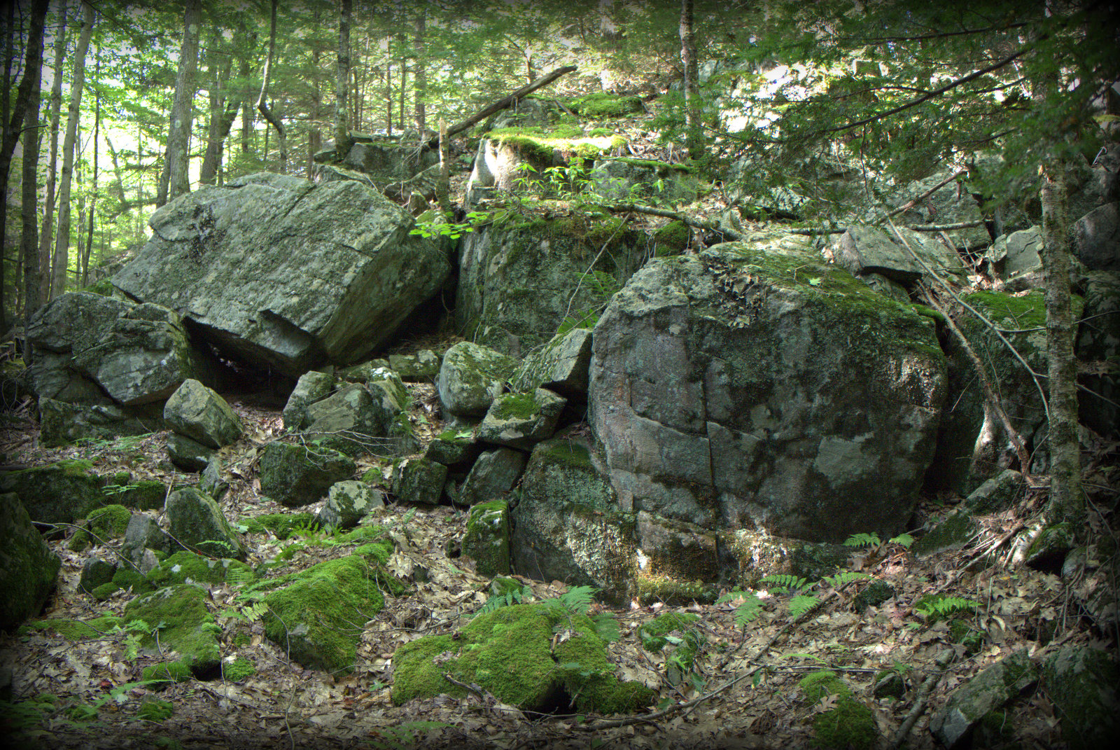 Along the NET-Cohos: MA NET Section 18b- 19a Royalston Falls/ NH Border