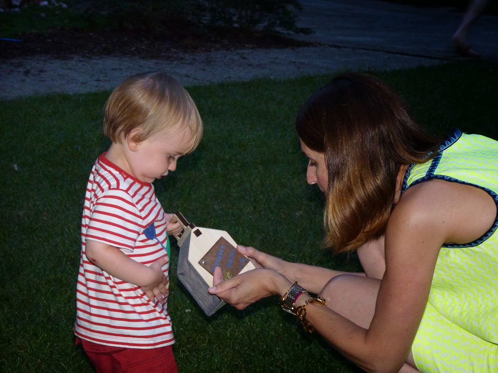 Wagers: Capturing Lightning Bugs