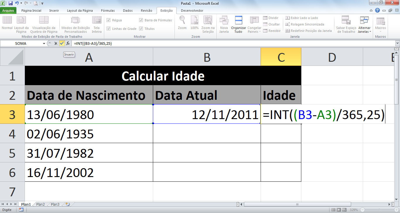 Calcular idade no Excel :: Excel Soluções