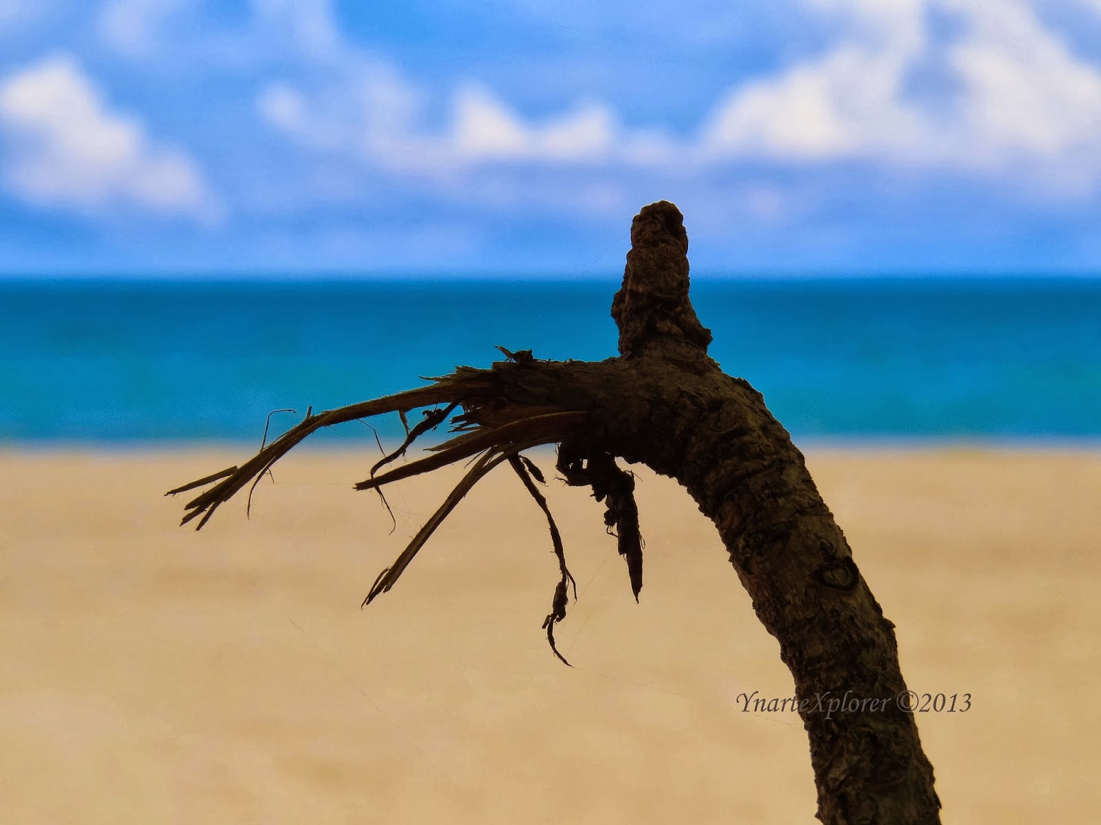 YnarteXplorers: Pangasinan Round Trip: Bonuan Blue Beach