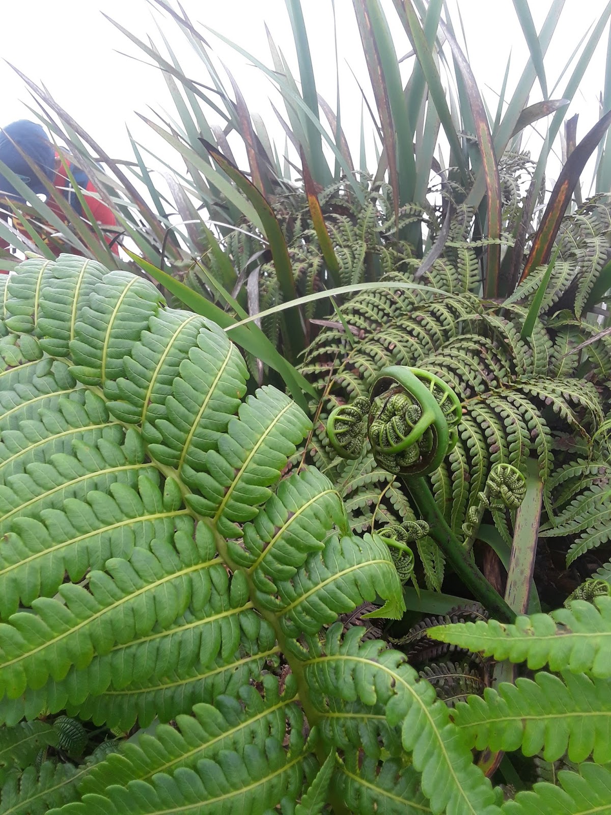 Elder Logan Porter: April 2018