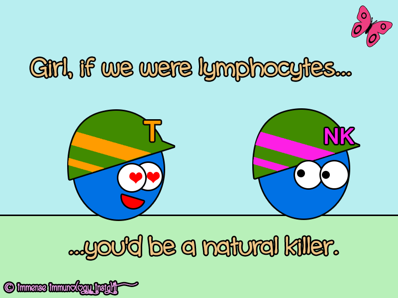 Immense Immunology Insight Girl If We Were Lymphocytes Youd Be A Natural Killer