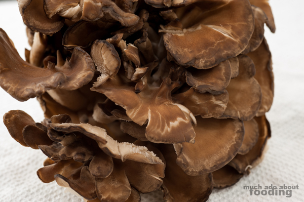 Recipe - Maitake with Fried Egg | Much Ado About Fooding