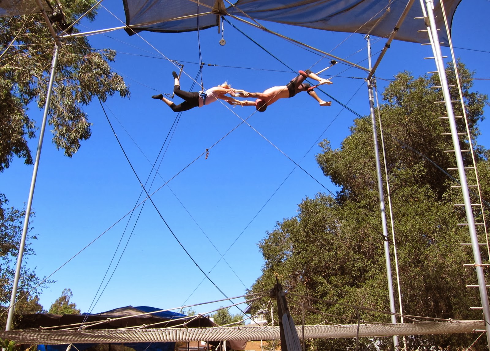 Sensory Overload: Flying Trapeze - Becoming an Official Catcher