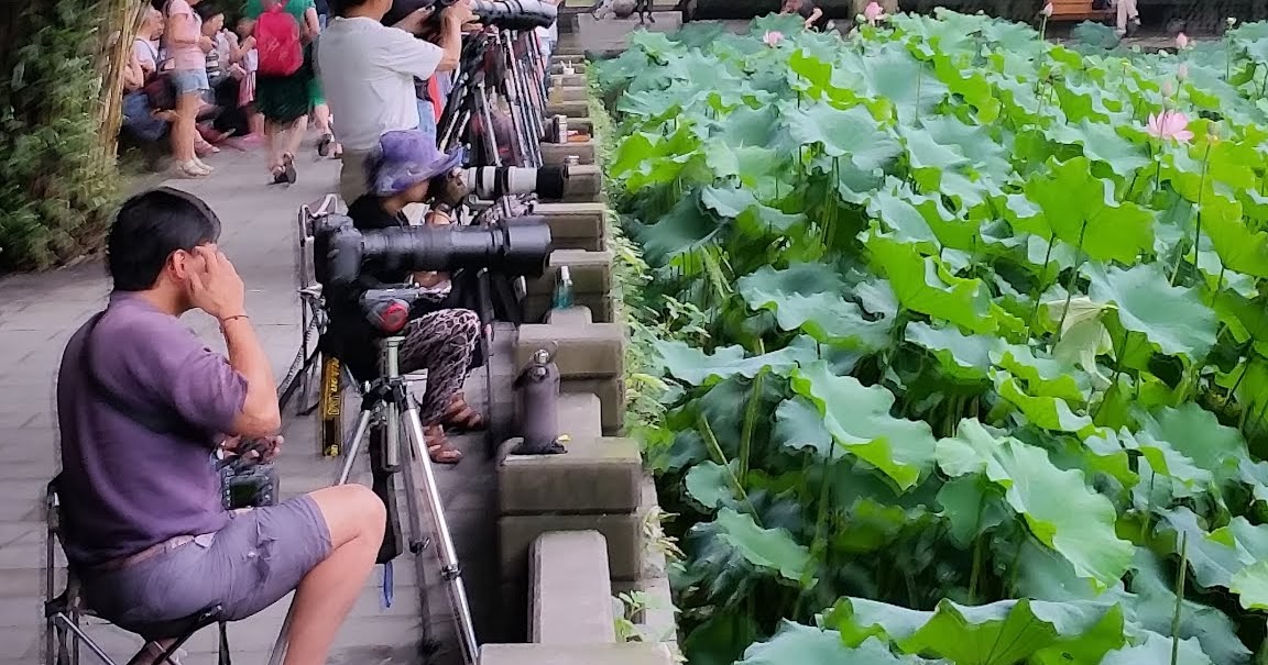 China From the Inside: Sichuan University UIP - University Immersion Program