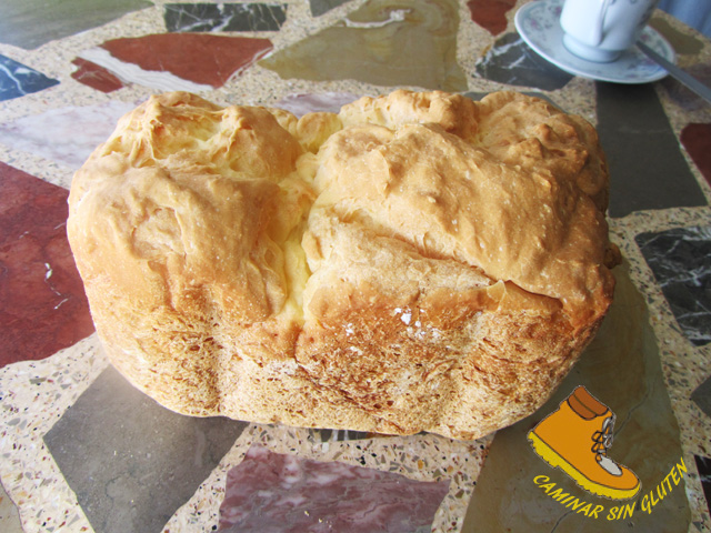 CAMINAR SIN GLUTEN: “PAN DE MIGUEL” EN PANIFICADORA BACKMEISTER UNOLD ...