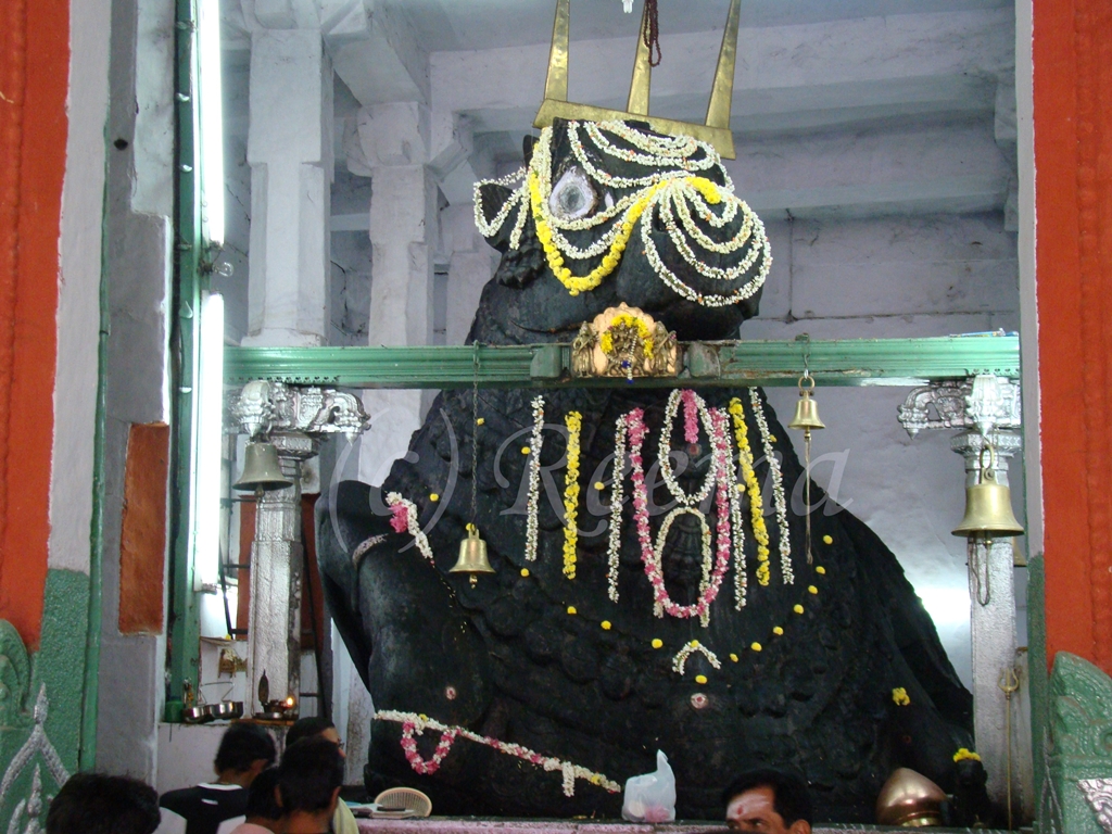 Bangalore: A Guide for Visitors: Bull Temple, Basavanagudi