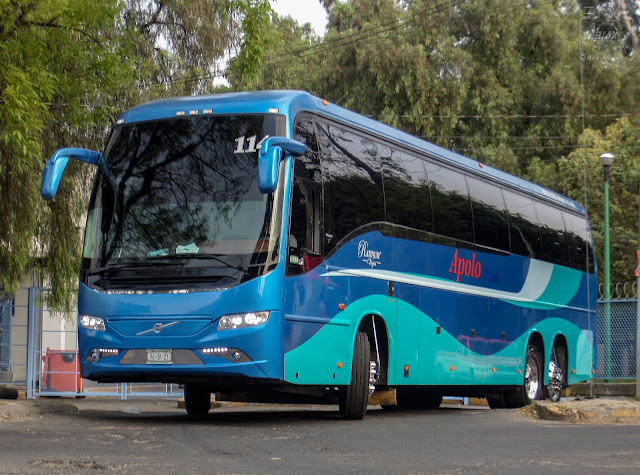 Apolo Travel - Bus-México
