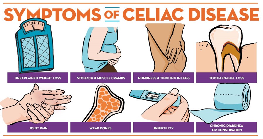 The Health Website : Coeliac disease