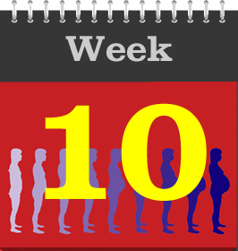 Pregnant Women, Pregnancy: weeks by week pregnancy - 10th week