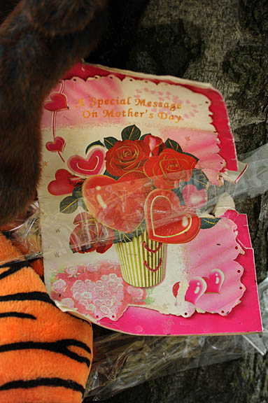 Washington's Other Monuments: Memorial for Myles LeShai McLean / 61st ...