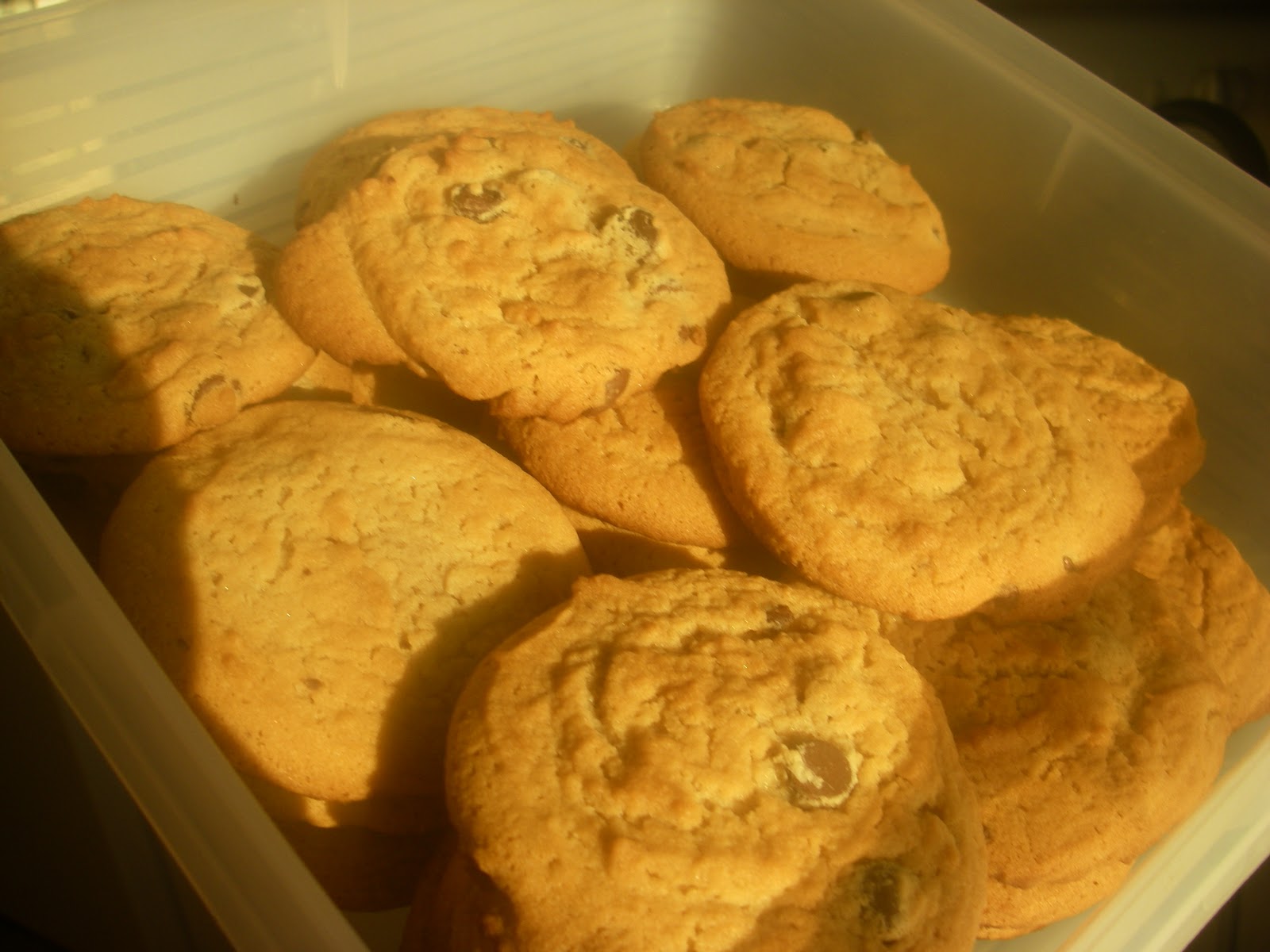 Our View from the Hill: Mennonite Monday - Chocolate Peanut Butter Cookies