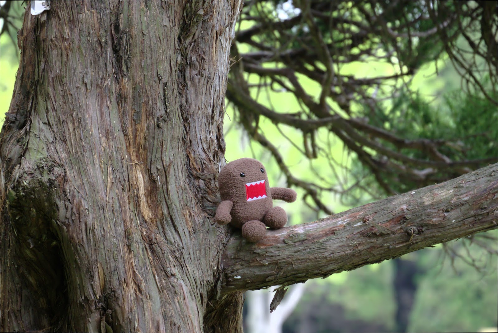 Domo World Japan Tour: Osakan linna