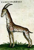 Shaping the Facts by Author Margaret Porter: Brief History of the ...