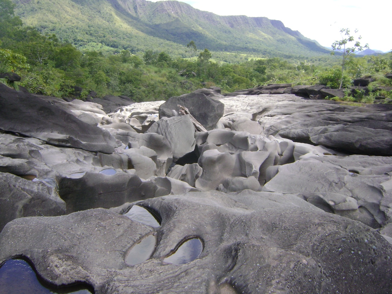 Caliandra do Cerrado: Vale da Lua
