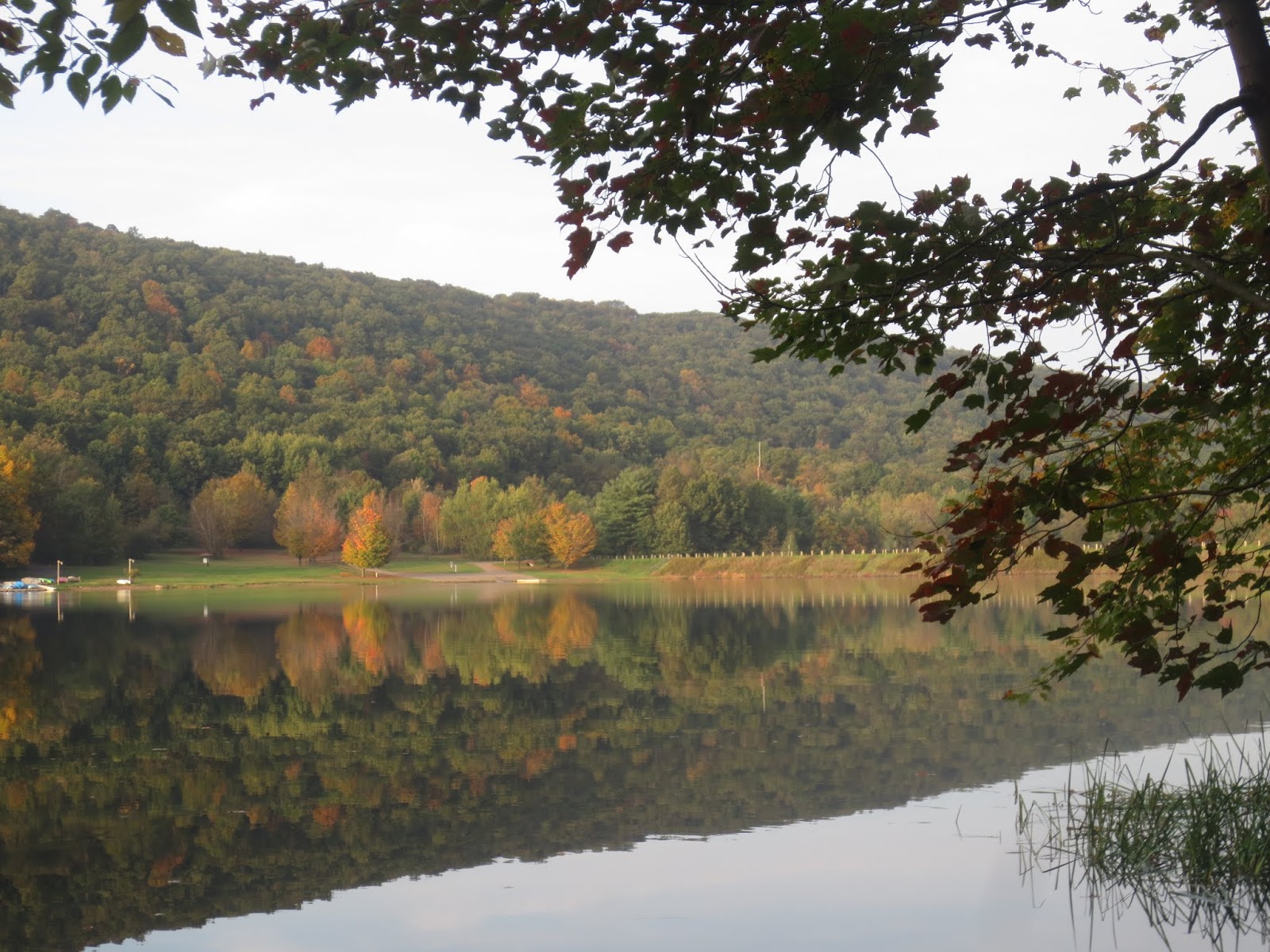 Book By Book: Saturday Snapshot: Locust Lake & Tuscarora State Parks, PA