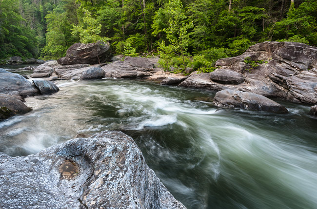 Le chant de la Tamassee - Ron Rash