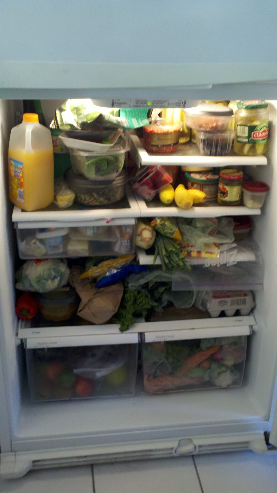 The Food and Health Experiment: The Great Refrigerator Purge