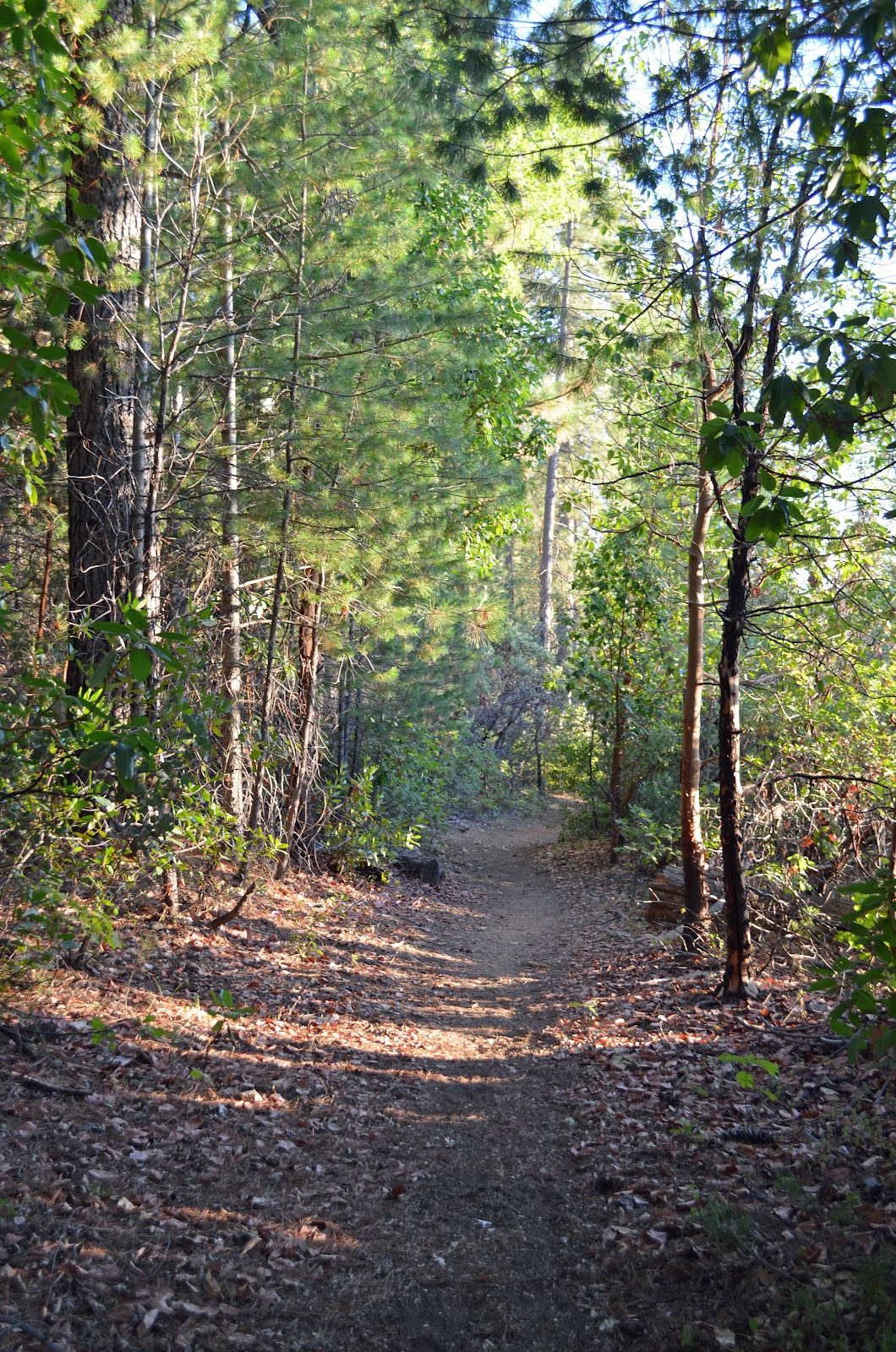 Discovering Ranch Life: Stifle Claim and Traverse Creek Loop Trail