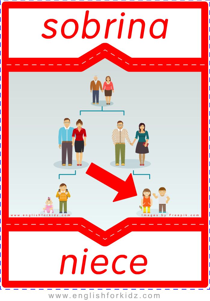 English for Kids Step by Step: English-Spanish Flashcards: Family ...