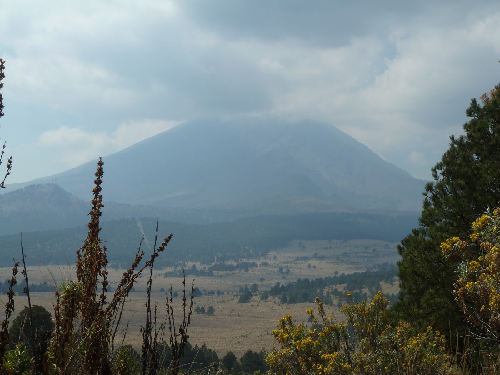 fega-zentralamerika: Der Popo hats in sich
