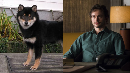 Another Hannibal Artblog: Hannibal dogs - Shiba Inu