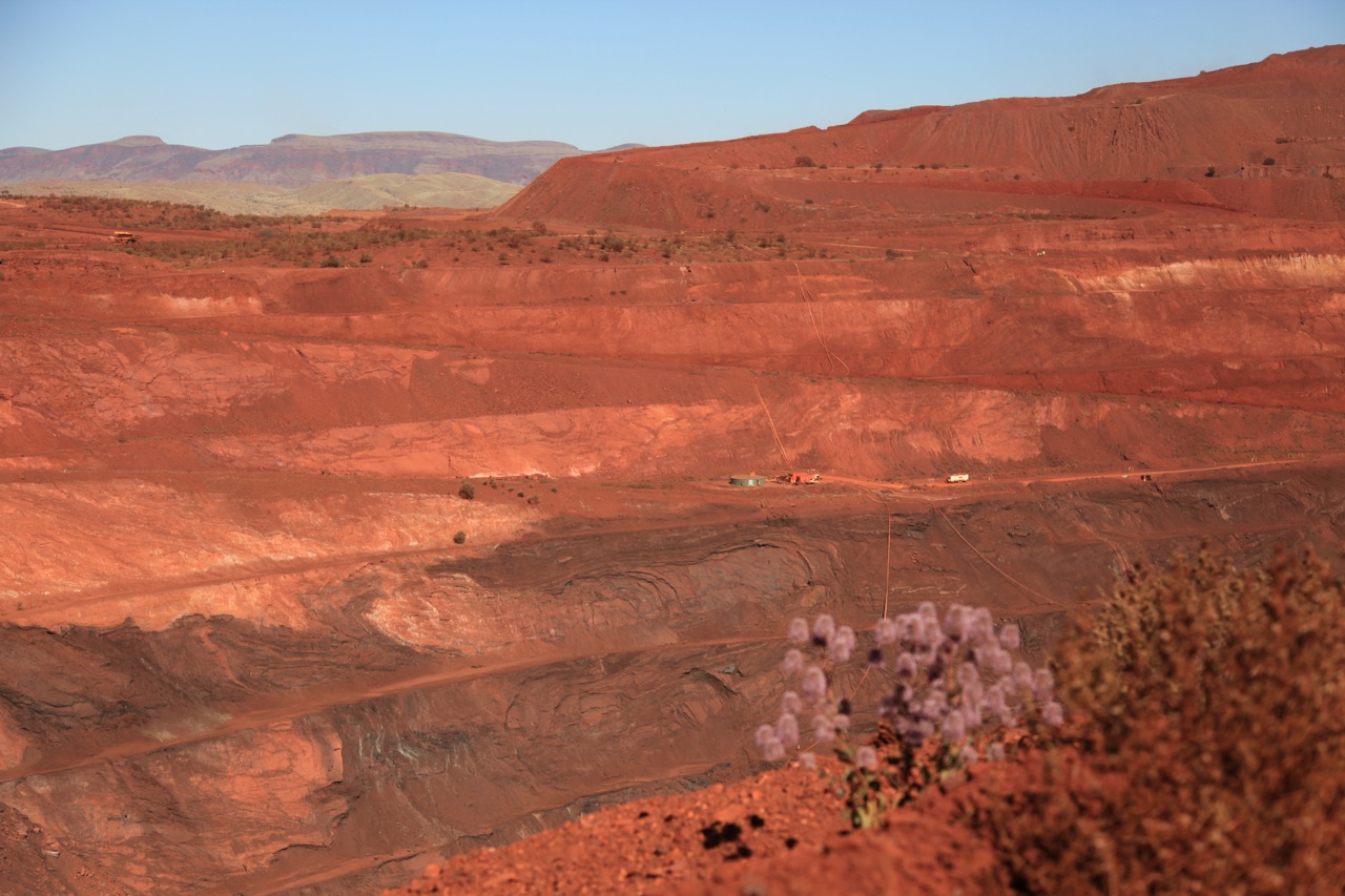 Schoers' Travels: THE PILBARA - RED ROCKS BLOOMING