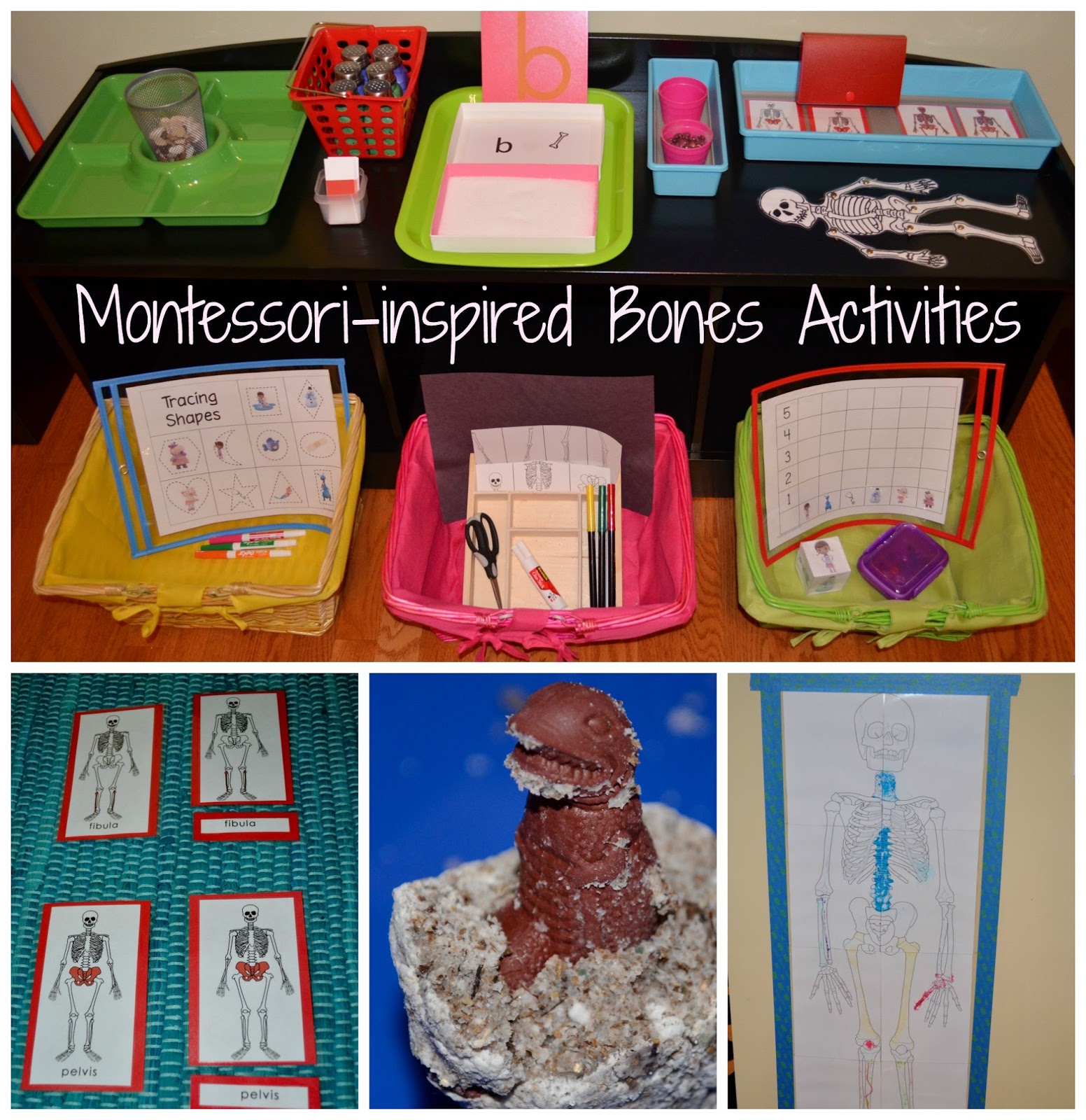 Unschool the Teacher: Bones, Bones, Bones