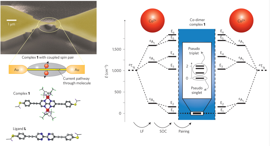 Biophysics - Forces in the Bio Universe: Switching of a coupled spin ...