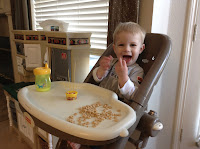 Tasty Toddler Recipes for picky eaters