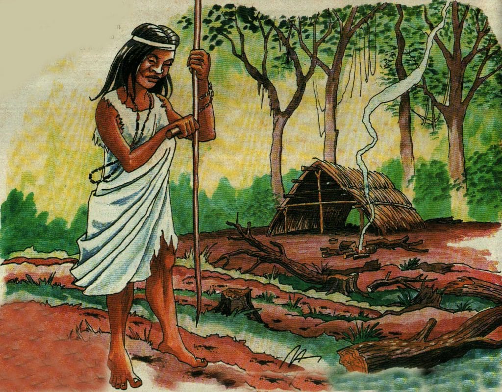 Cultura Guaraní: 2019