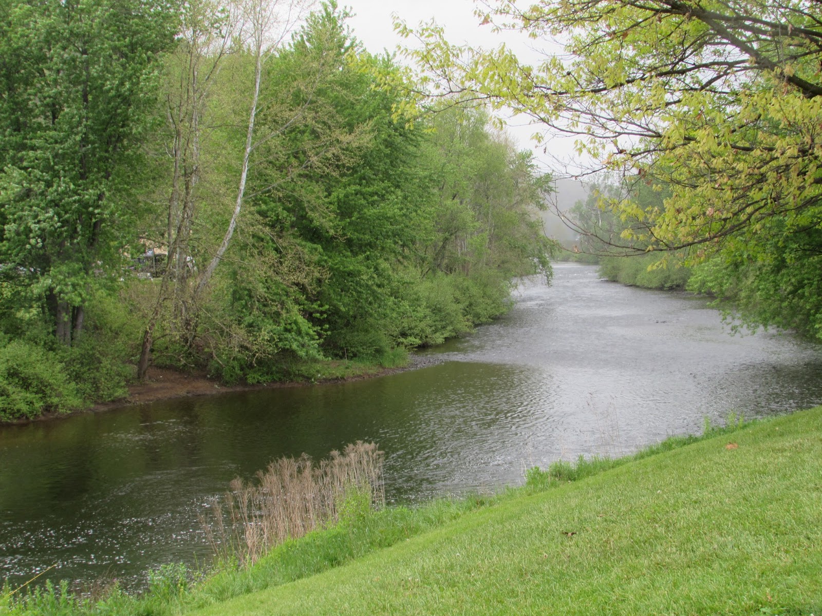 Kayaking the Clarion River with Country Squirrel Outfitters ...