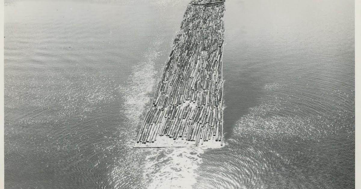 Saltwater People Log: CHICKAMAUGA