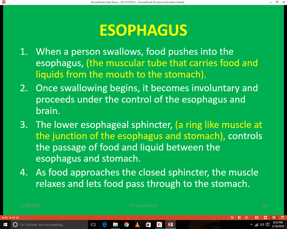 Dr. Adnan: stomach digestion of food pathophysiology enzyme vitamin ...