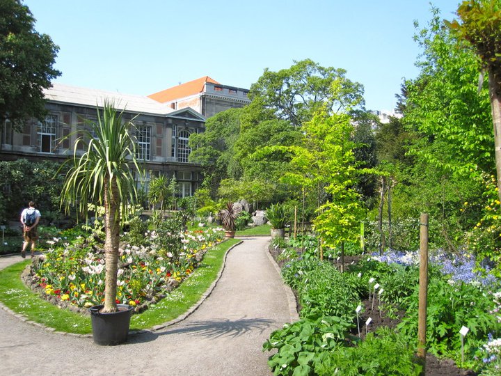 The botanic garden of Antwerp