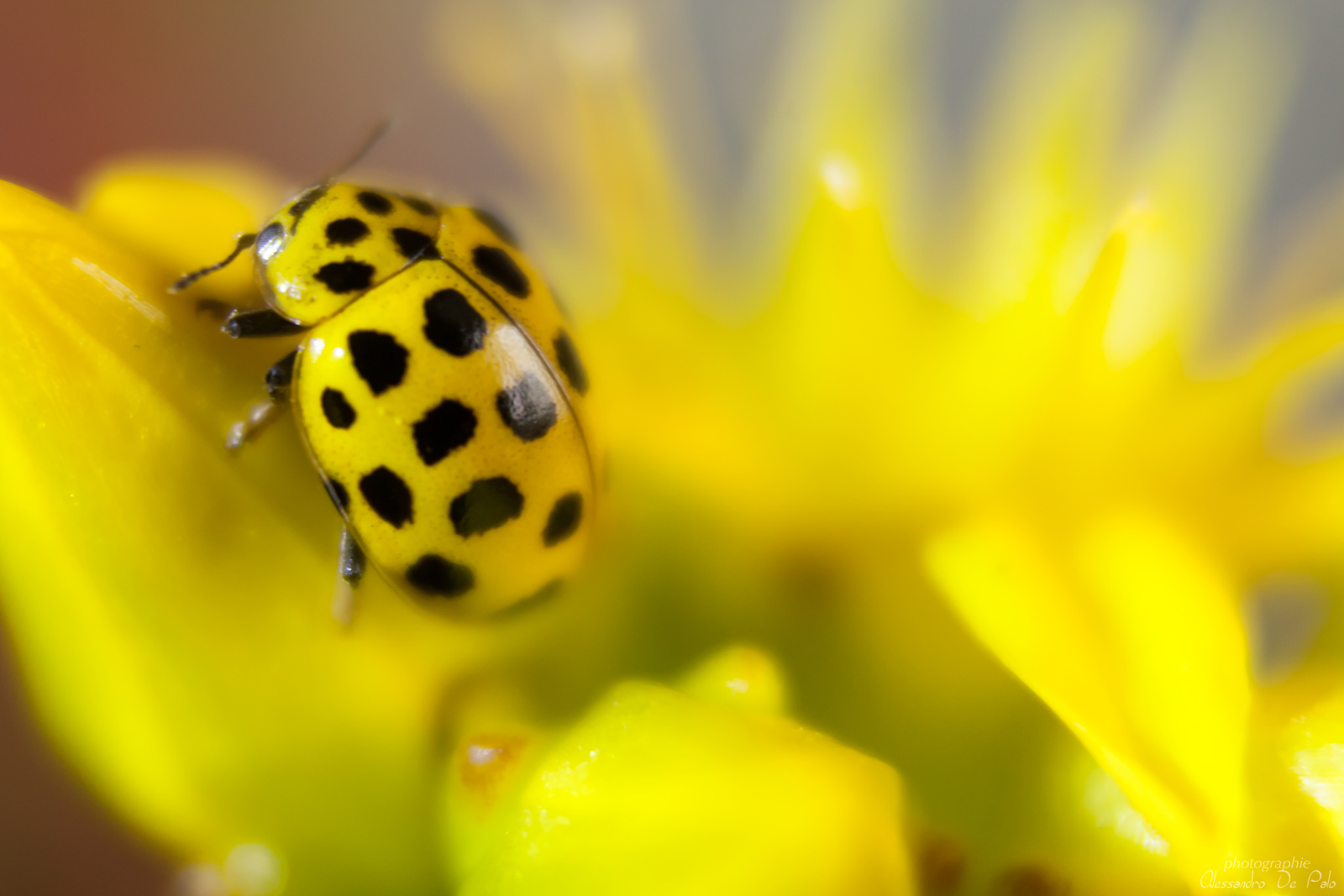 June 2012 | une page photographie