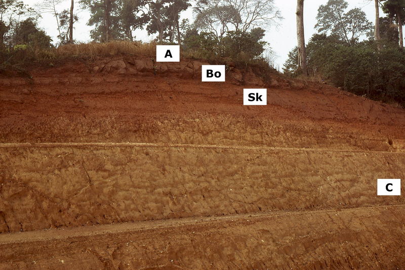 Verde Zona: Suelos, ¿cuántos tipos existen?